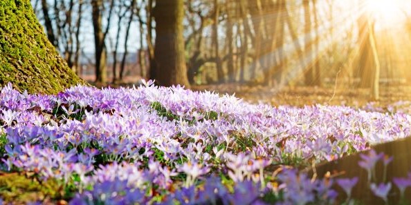 News » Aktuelles » PraxisApp